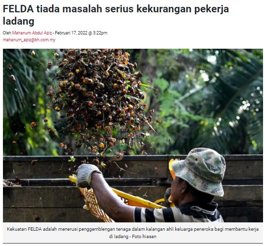 FELDA - FELDA tiada masalah serius kekurangan pekerja ladang FELDA - FELDA tiada masalah serius kekurangan pekerja ladang